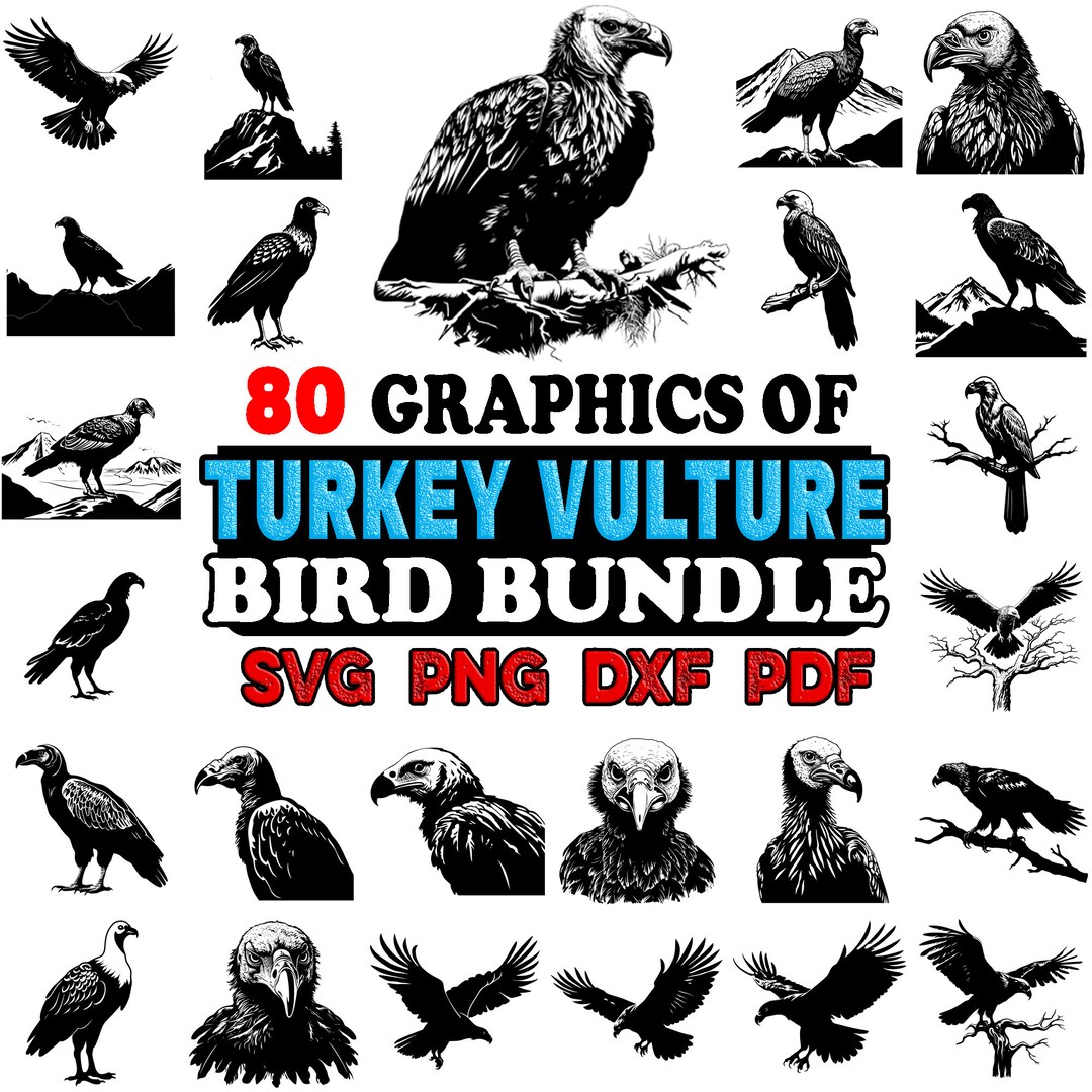 Turkey Vulture Bird 80 Graphics Bundle, Bundle SVG, Png, Dxf, Pdf ...