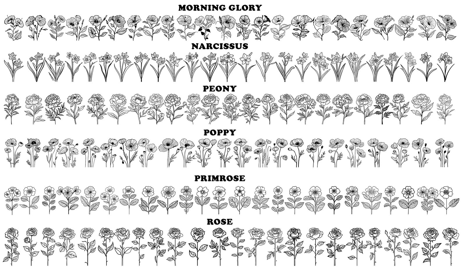 Couple Wildflower Birth Month 560 Graphic Files Svg, Dxf & Png Bundle ...