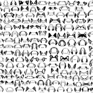 155 Editable Name - Dog Ears Complete Breeds SVG and PNG Bundle ...
