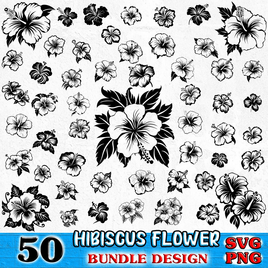 Hibiscus Flower Bundle SVG, PNG Instant Digital Downloads - Etsy