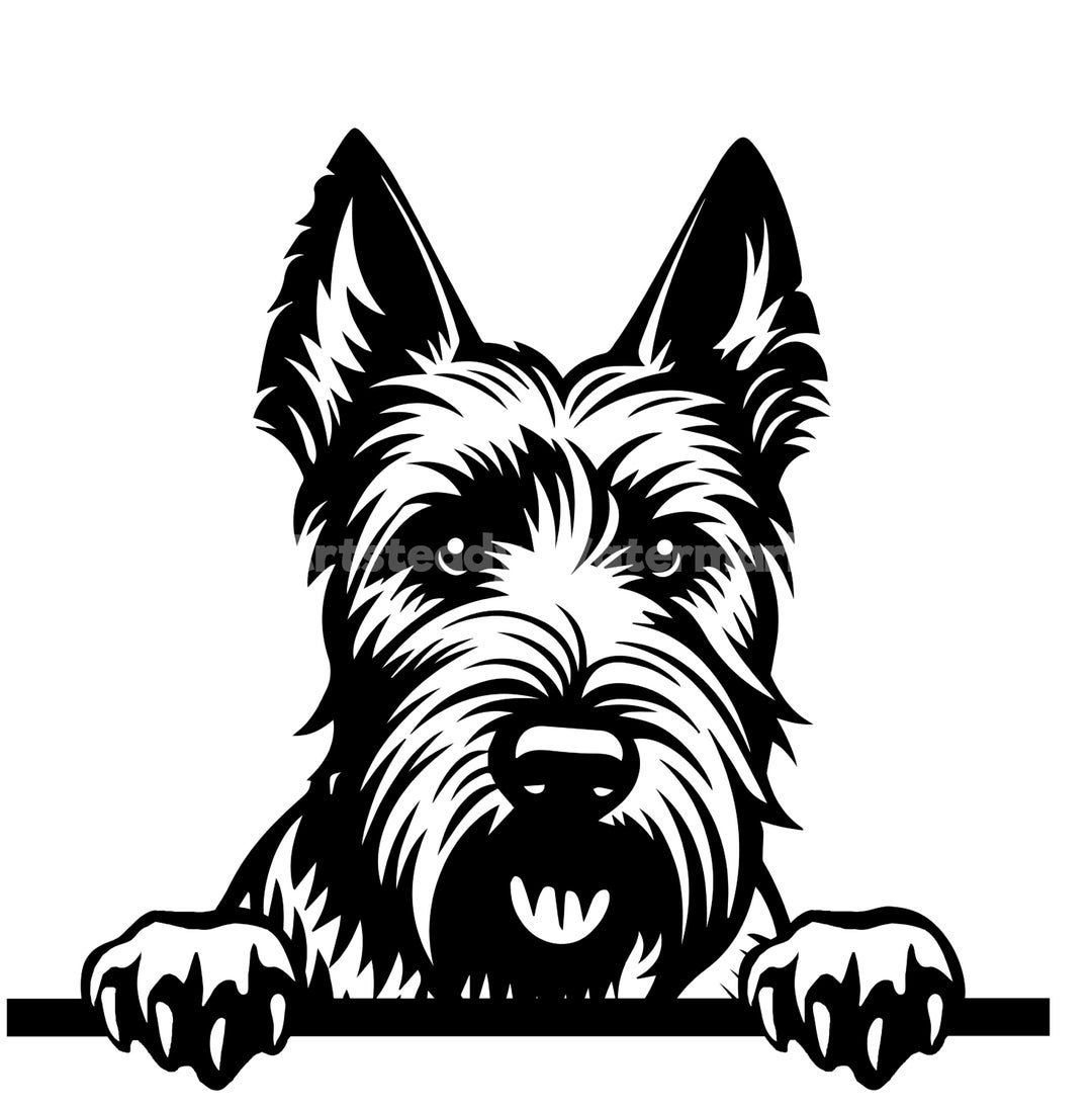 Scottish Terrier Peeking Dog SVG, PNG , DXF and Pdf - Dog or Puppy Pet ...