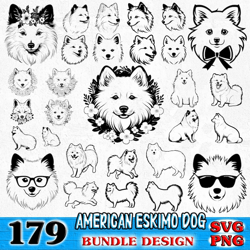 American Eskimo Puppies - Etsy