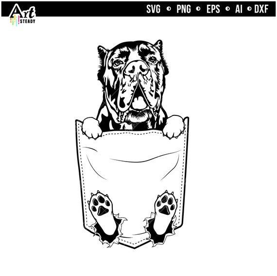 Cane Corso Svg Files Dog Ripped in Pocket Art Graphic Theme - Etsy