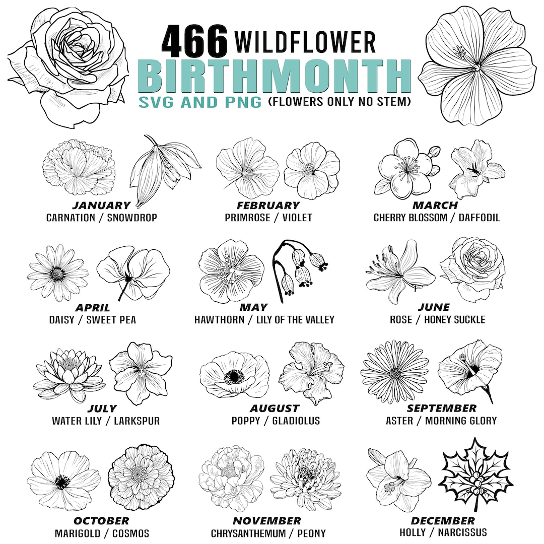 465 Wildflowers Flower Only No Stem Birth Month SVG and PNG Bundle Graphics - Svg Files Birthday ...
