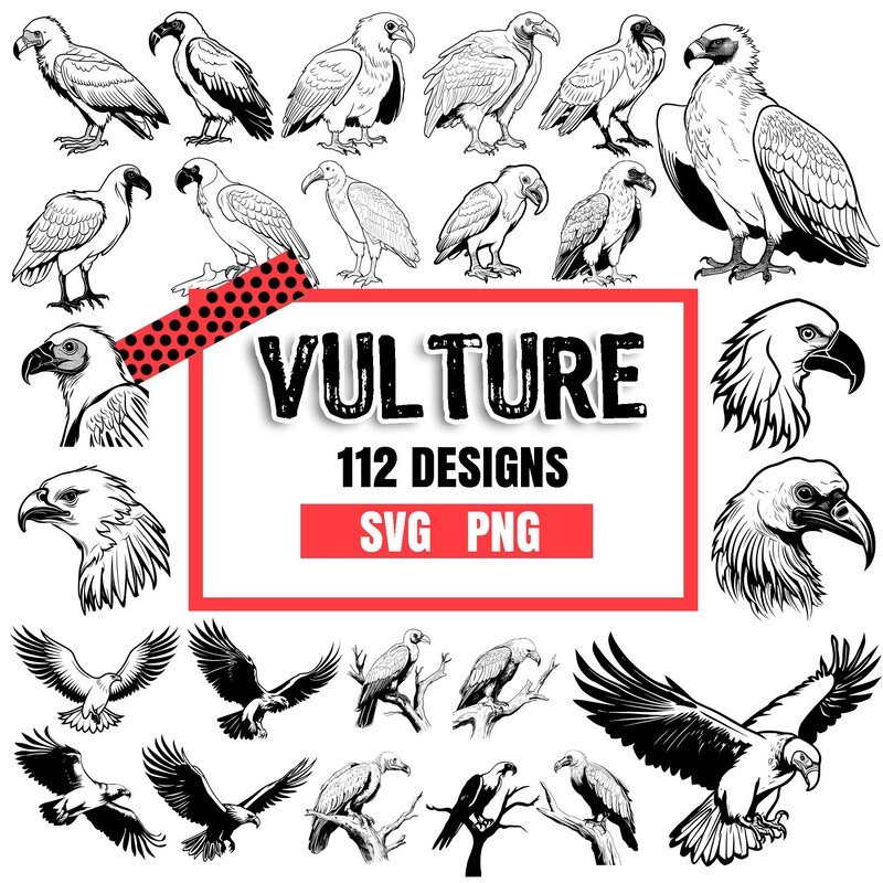 Vulture Art - Etsy