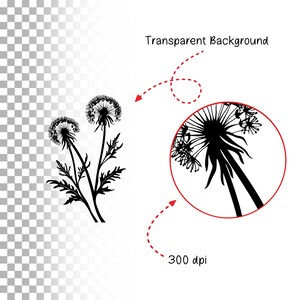 Dandelion Flower Engraving Files | Dandelion SVG & DXF Bundle | Floral ...