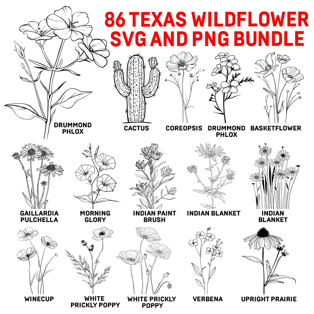 Texas Wildflowers SVG & PNG Bundle Graphics - Birth Month Wild Flowers ...