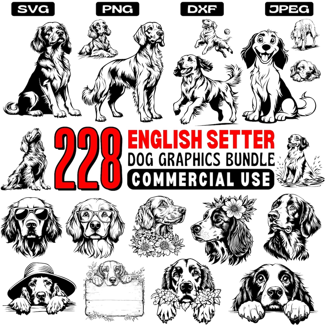 English Setter Svg Dxf Png Jpeg Bundle Instant Digital Downloads ...