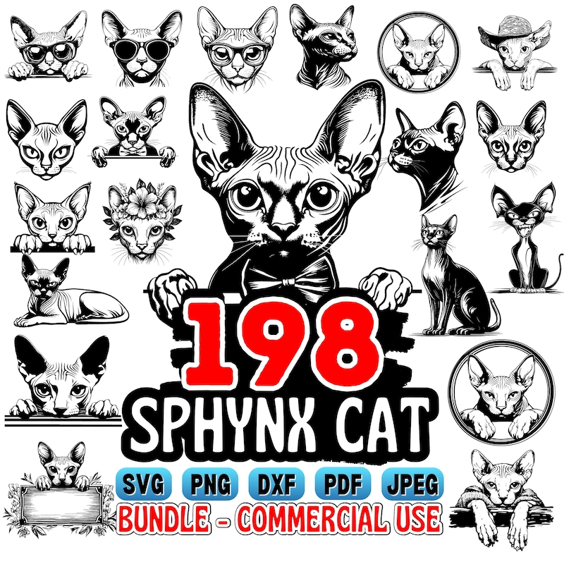 Paper Cutting Design Cat - Etsy