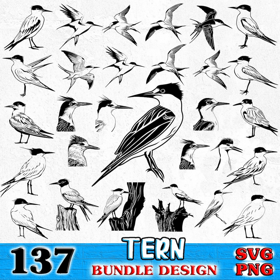 Tern, Bundle SVG, PNG Instant Digital Downloads - Etsy