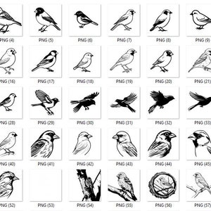 Finch, Bundle SVG, PNG Instant Digital Downloads - Etsy
