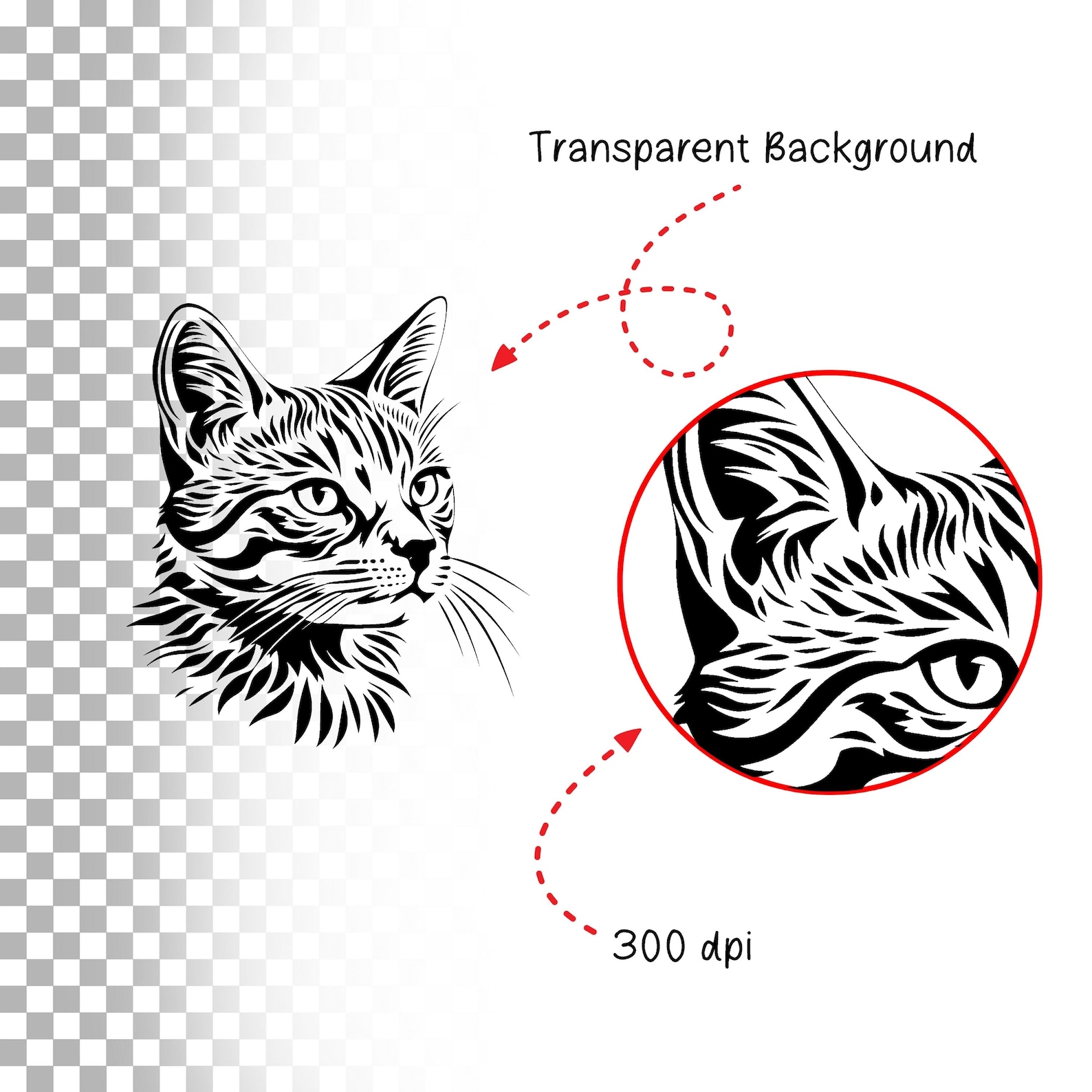 Cat Breeds Head SVG Bundle | DXF Files for Cricut | Complete Cat ...