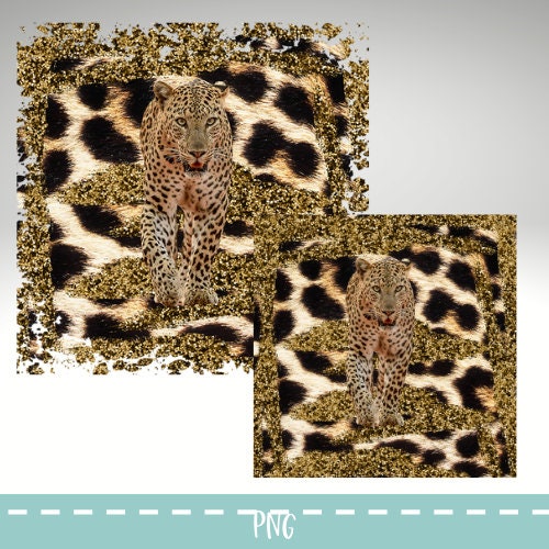Leopard Print Splash Background Bundle, Zoom Back Ground, Glitter ...