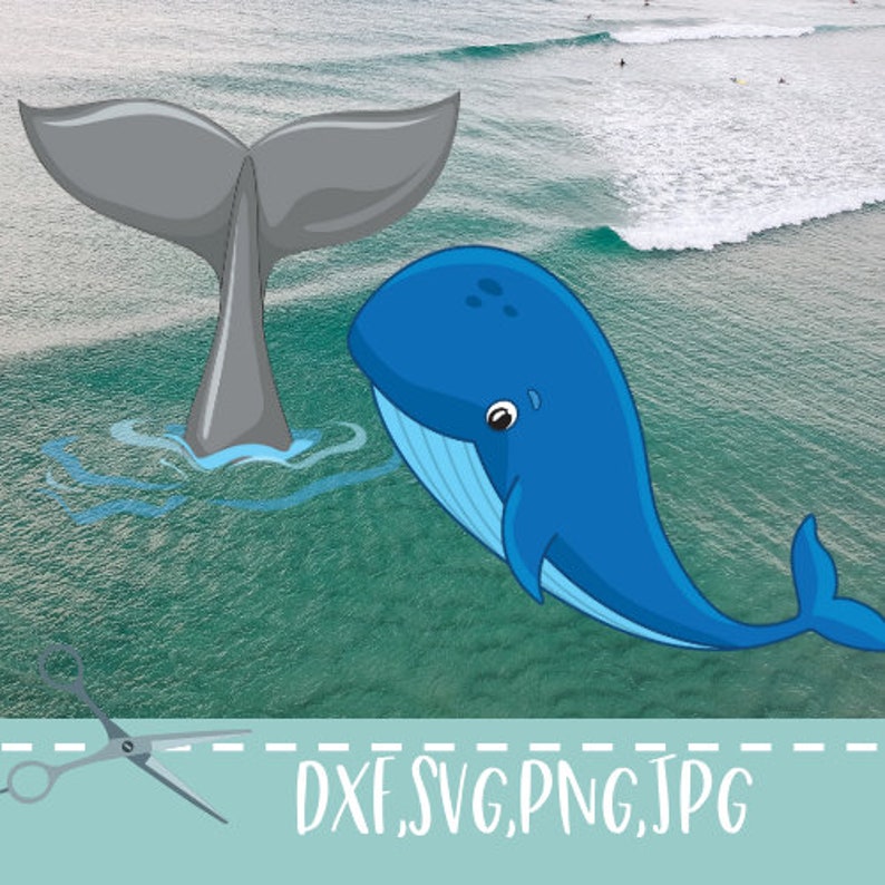 Whale Tail Svg , Whale Svg , I Speak Whale Svg , Whale Tale Svg ,baby ...