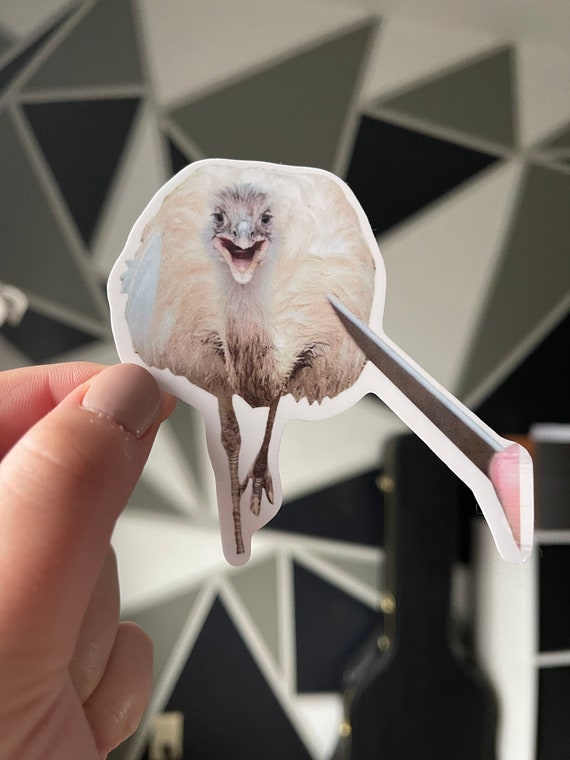 Kevin Rhea's Instagram, Twitter & Facebook on IDCrawl