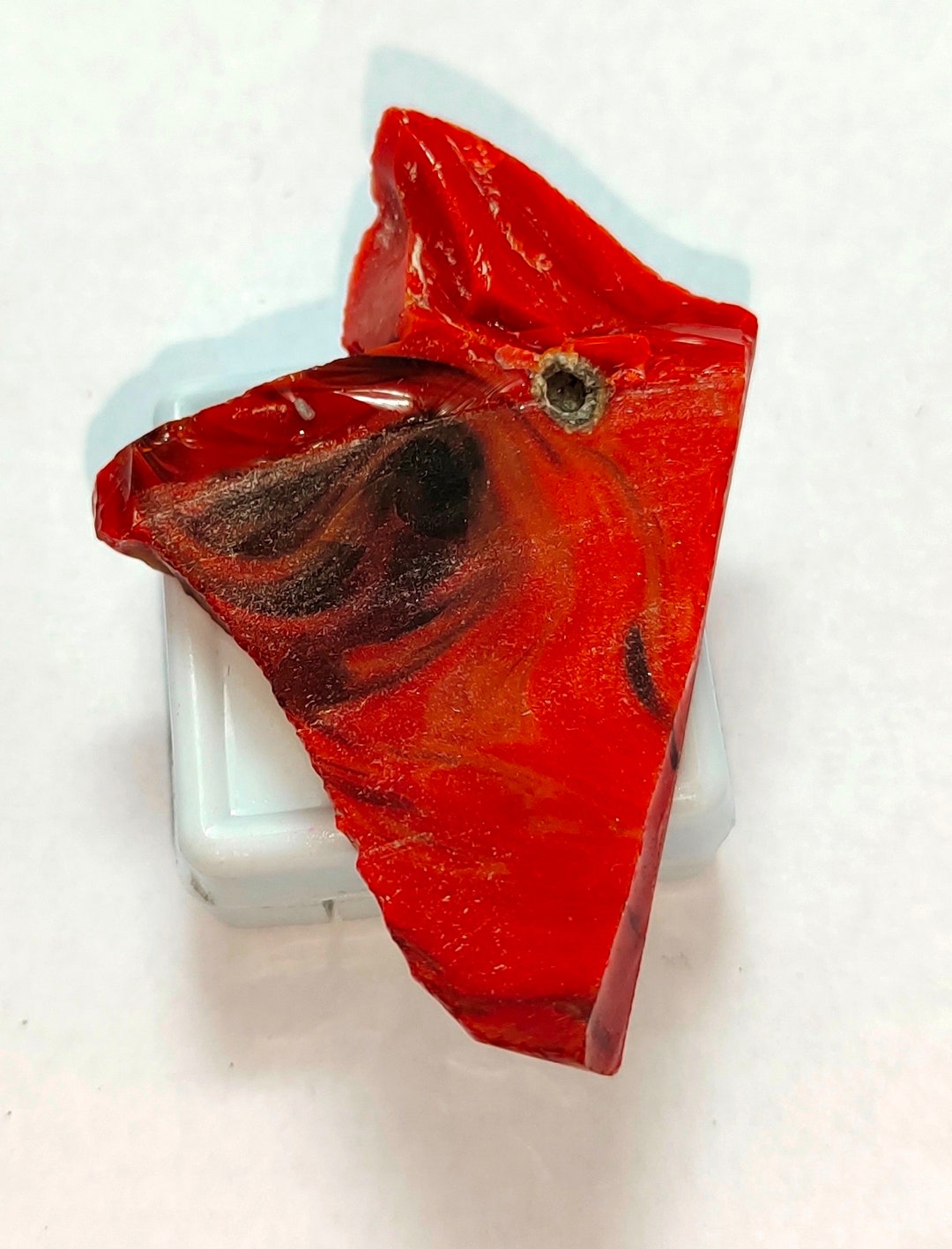 Orange Coral Gemstone: Raw Italian Coral, Enhanced Rough Cut R33-1 - Etsy