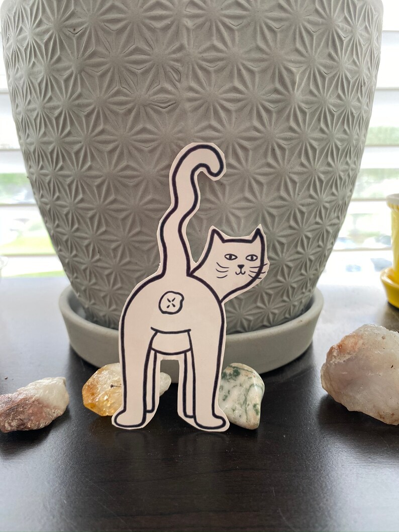 Cat Butthole Sticker Blank Etsy