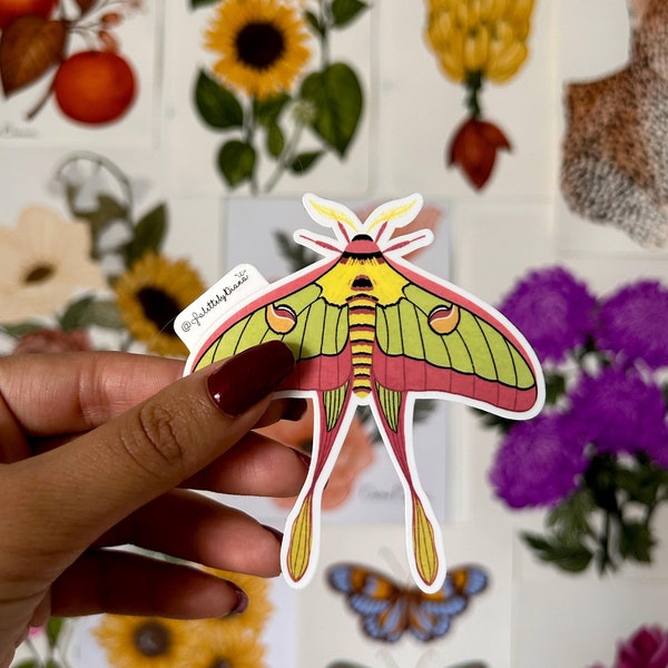 Chinese Moon Moth Sticker - Etsy