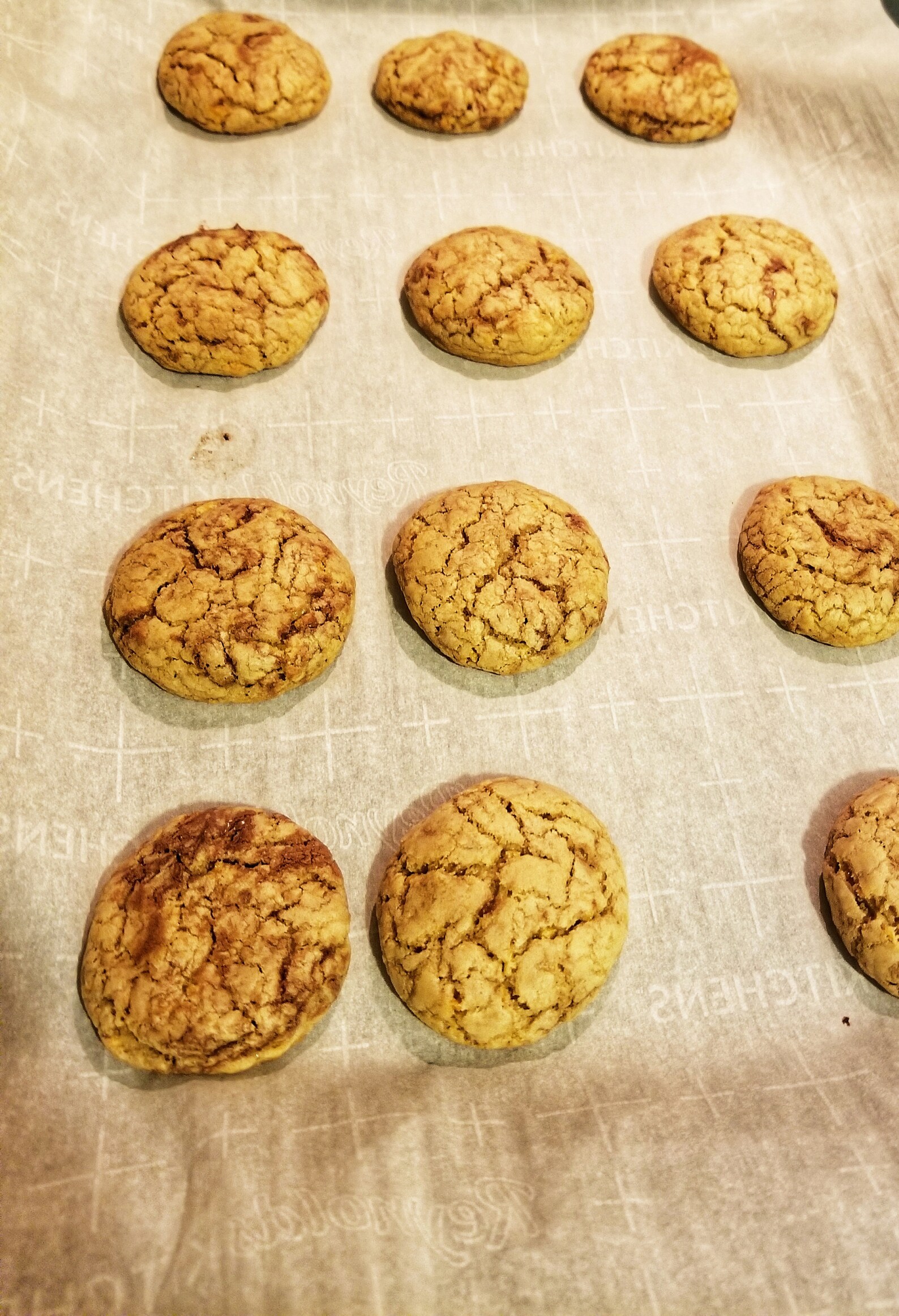 Tiger Cookies - Etsy