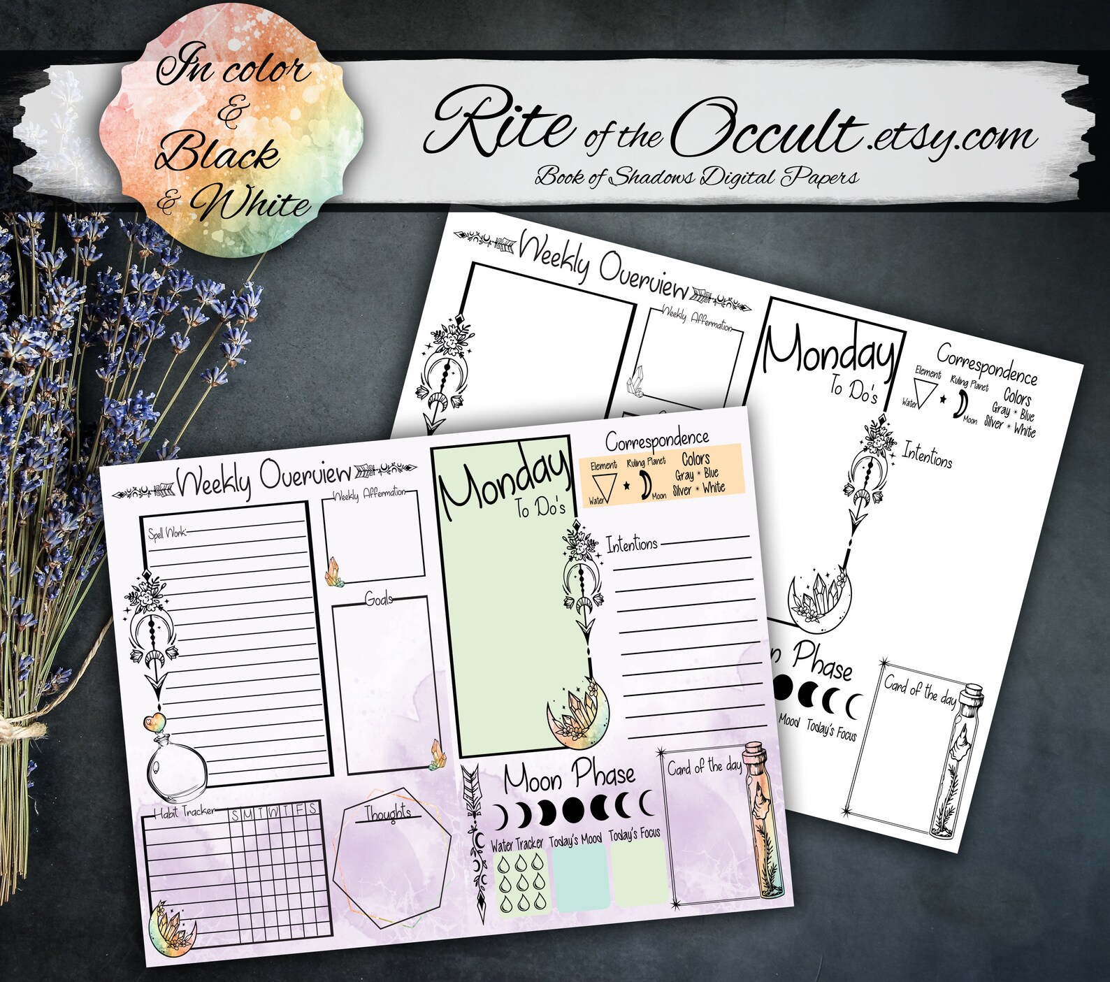 Witch Daily Planner Printable Pages Rainbow Witch Planner - Etsy