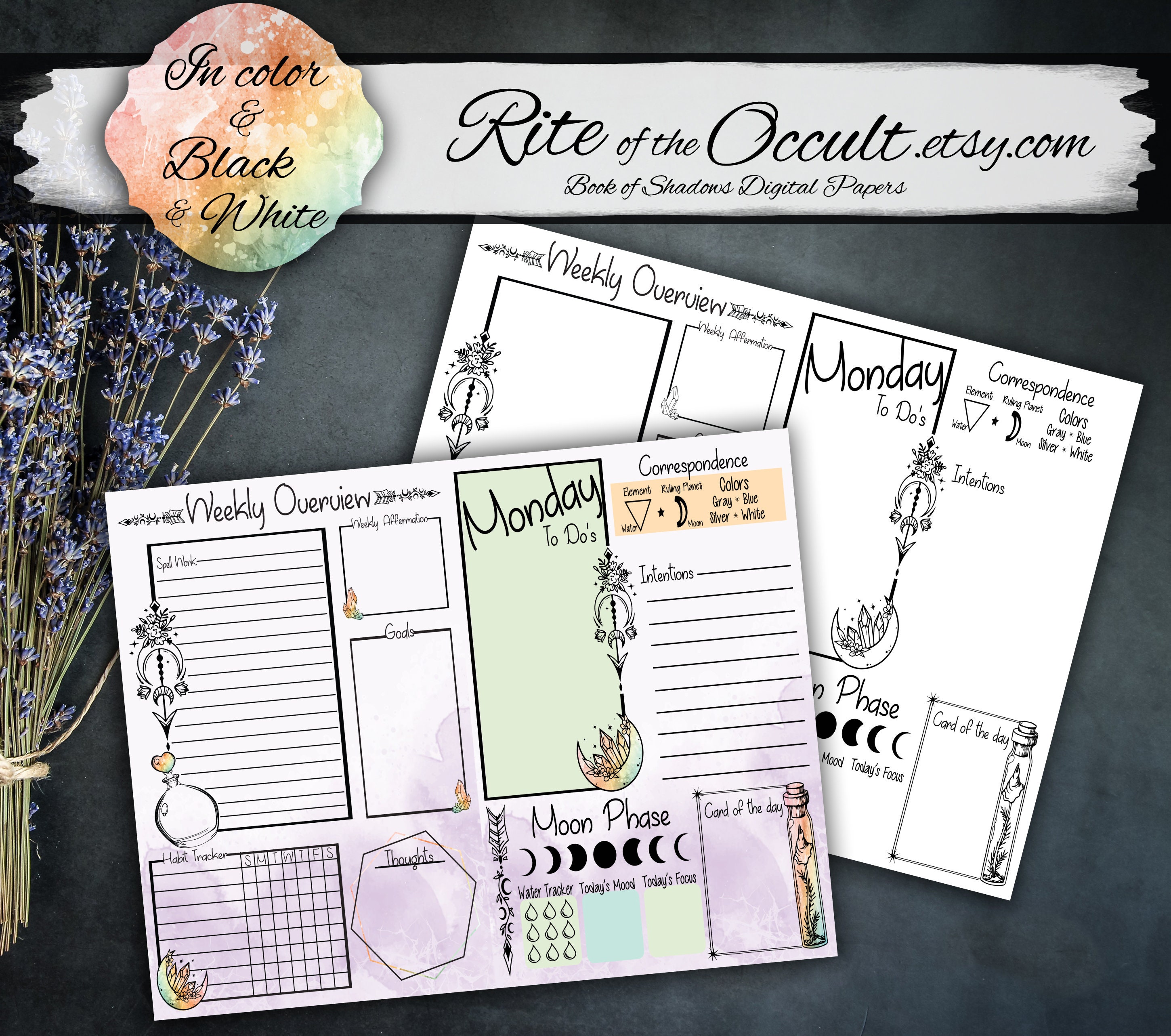 Witch Daily Planner Printable Pages Rainbow Witch Planner - Etsy