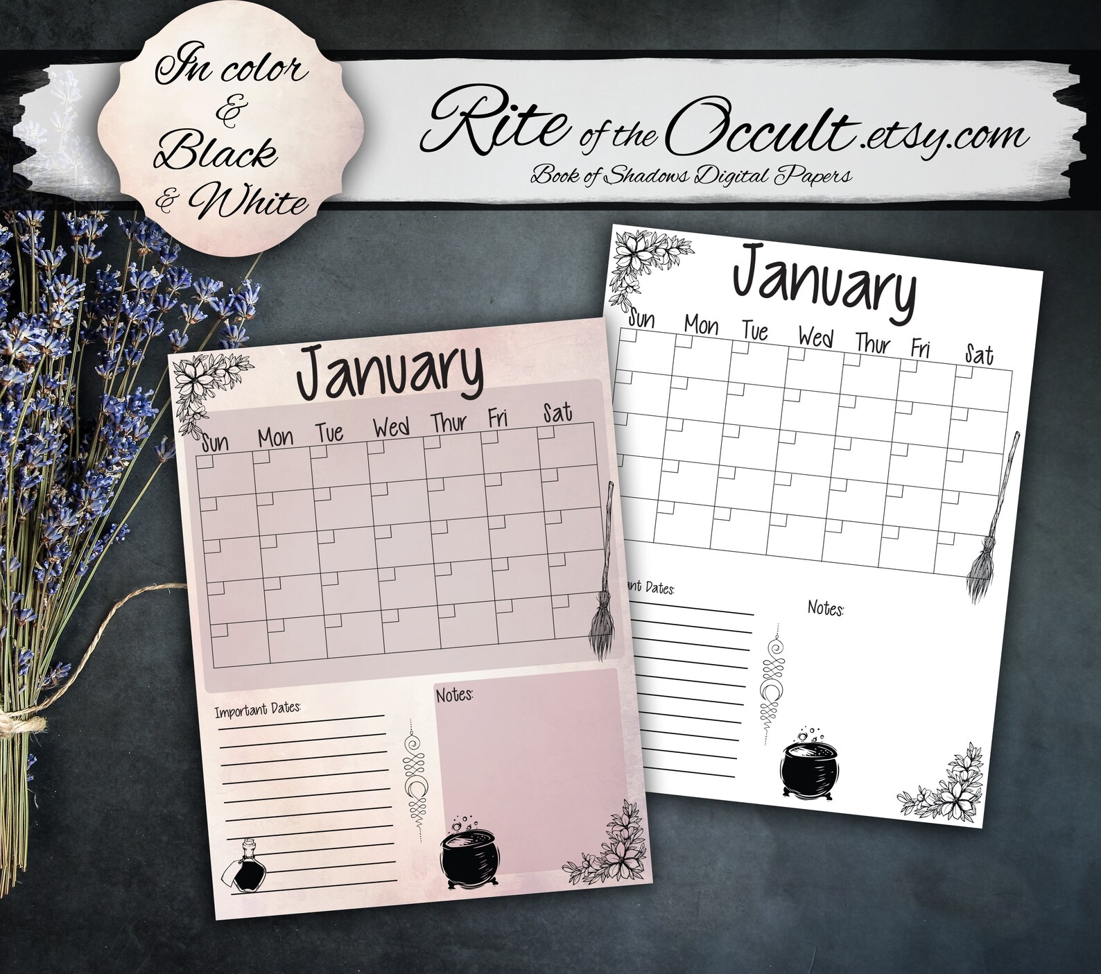 Witch Monthly Planner Printable Pages, Daily Witch Planner Digital ...