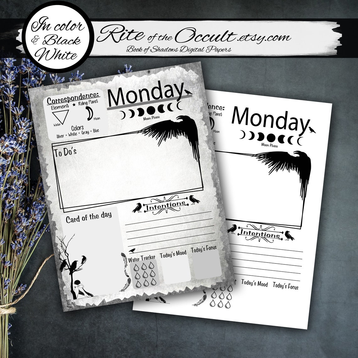 Raven Witchy Daily Weekly Planner Printable Pages, Undated Portrait ...