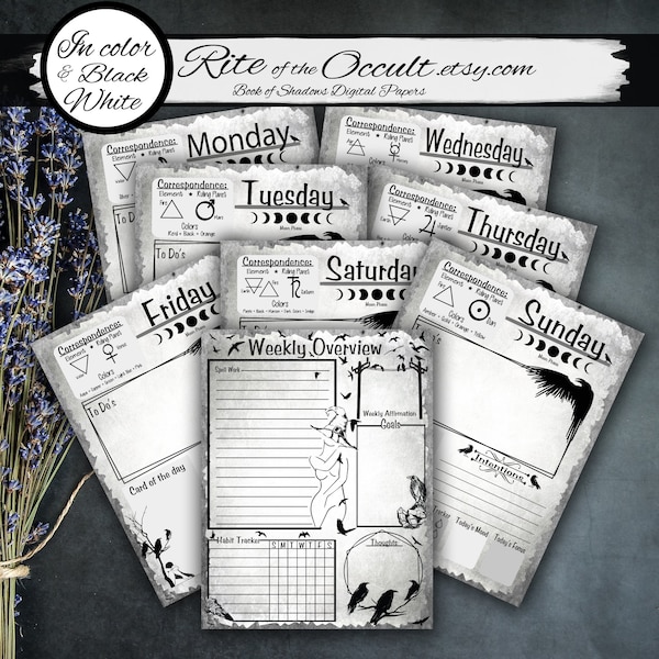 Witchy Daily Planner Printable Pages, Sea Witch Planner Digital ...