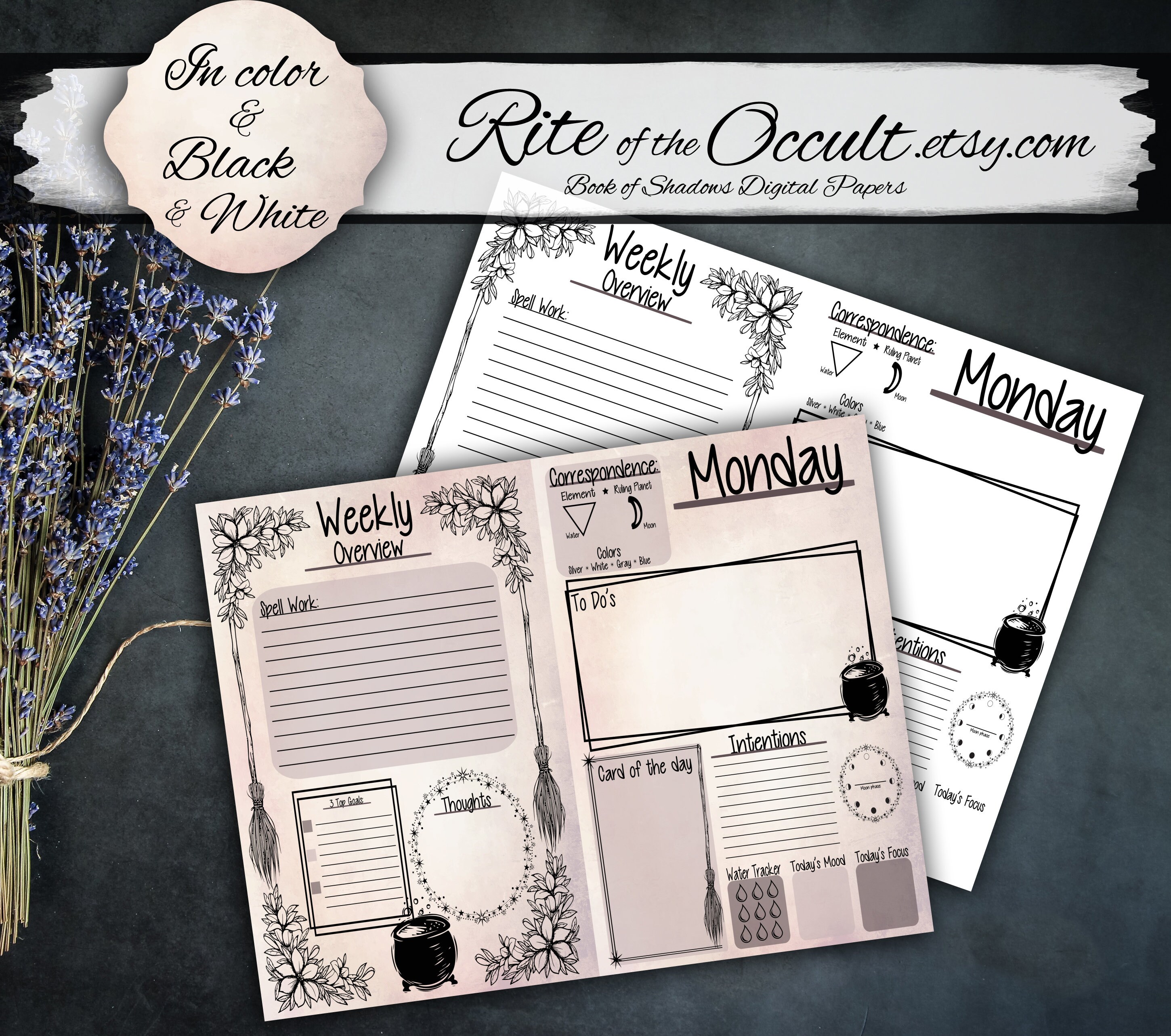 Witch Daily Planner Printable Pages Daily Witch Planner - Etsy