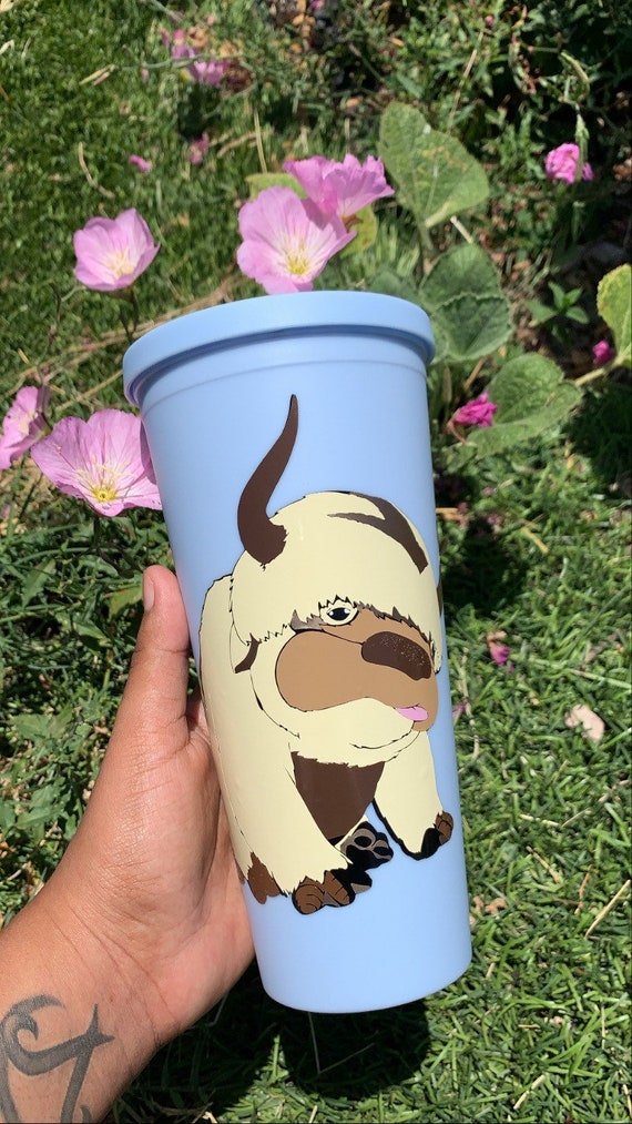 Appa Cup Matte colors Avatar Cup Customized decals | Etsy