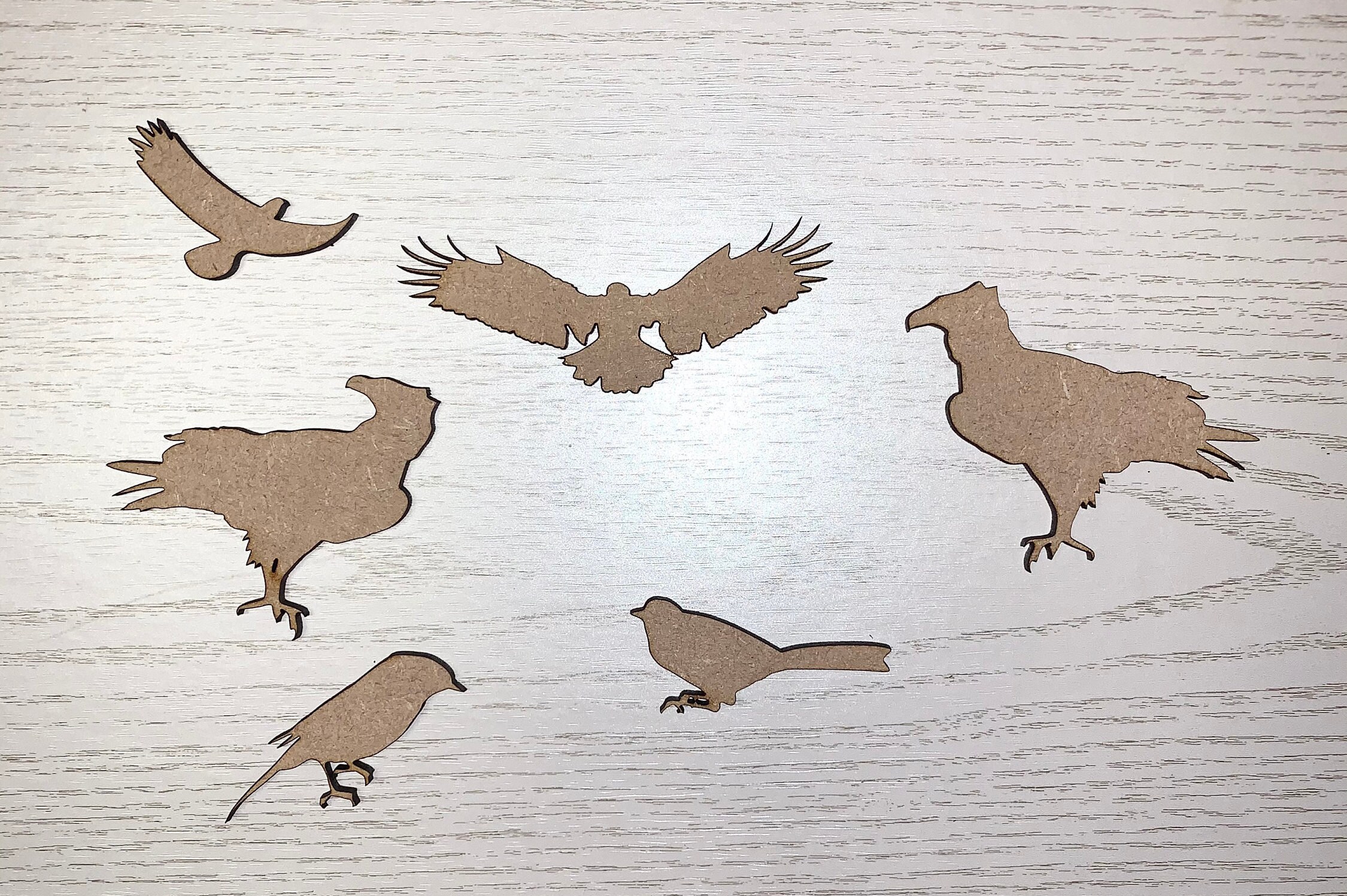 Wooden Mdf Bird Of Prey Shapes Craft Shape Etsy Singapore