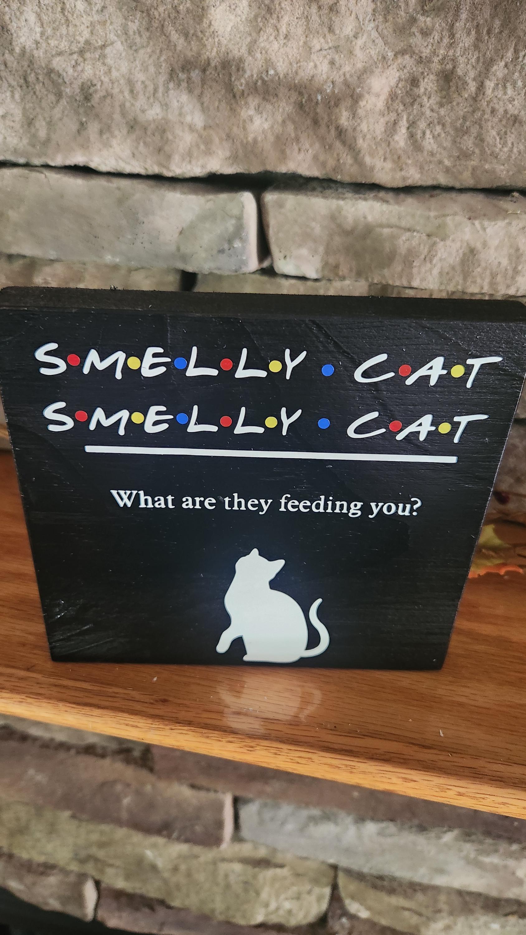 Smelly Cat Sign, Friends Sign, Cat Sign, Phoebe Buffay Song, Friends ...