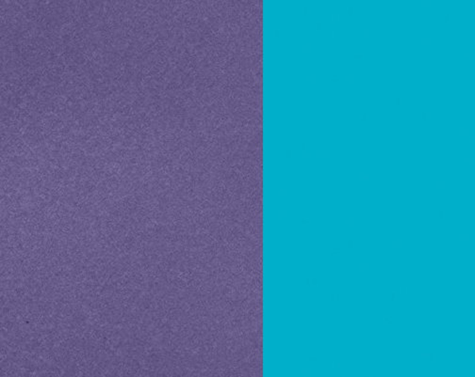 Frozen Wall Border Decal, Frozen Wall Decal, Princess Room Border ...