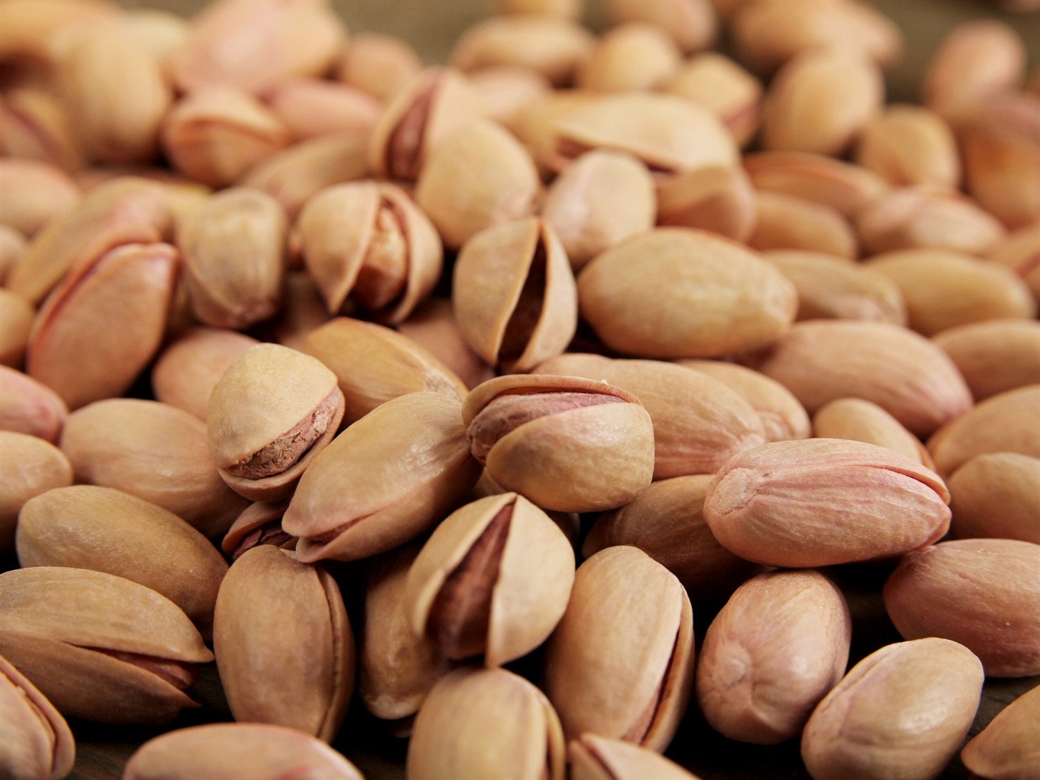 Premium Quality Roasted and Salted Turkish Antep Pistachio 1LB - Etsy