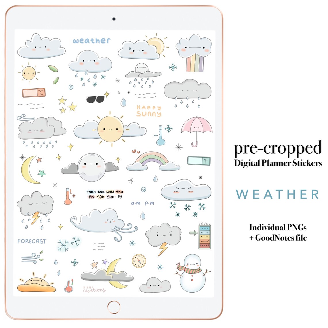 Weather Digital Stickers, Weather Icons for Goodnotes Journal Planner ...