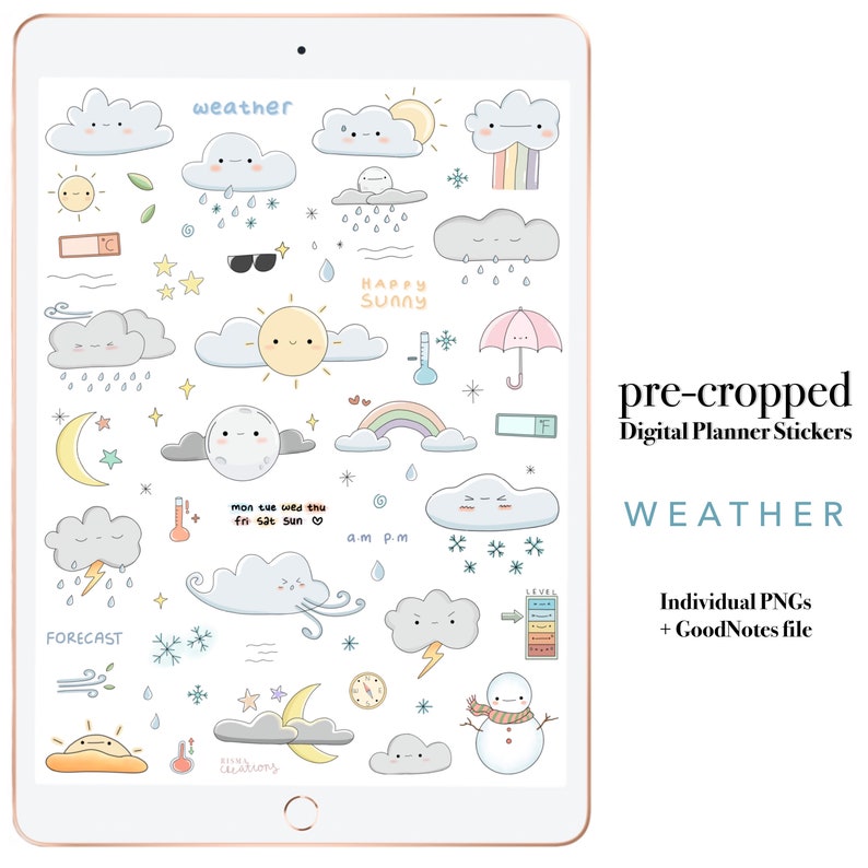 Weather Digital Stickers Weather Icons for Goodnotes Journal - Etsy