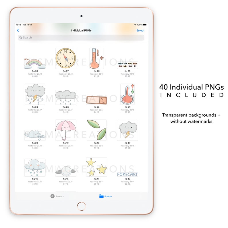 Weather Digital Stickers, Weather Icons for Goodnotes Journal Planner ...