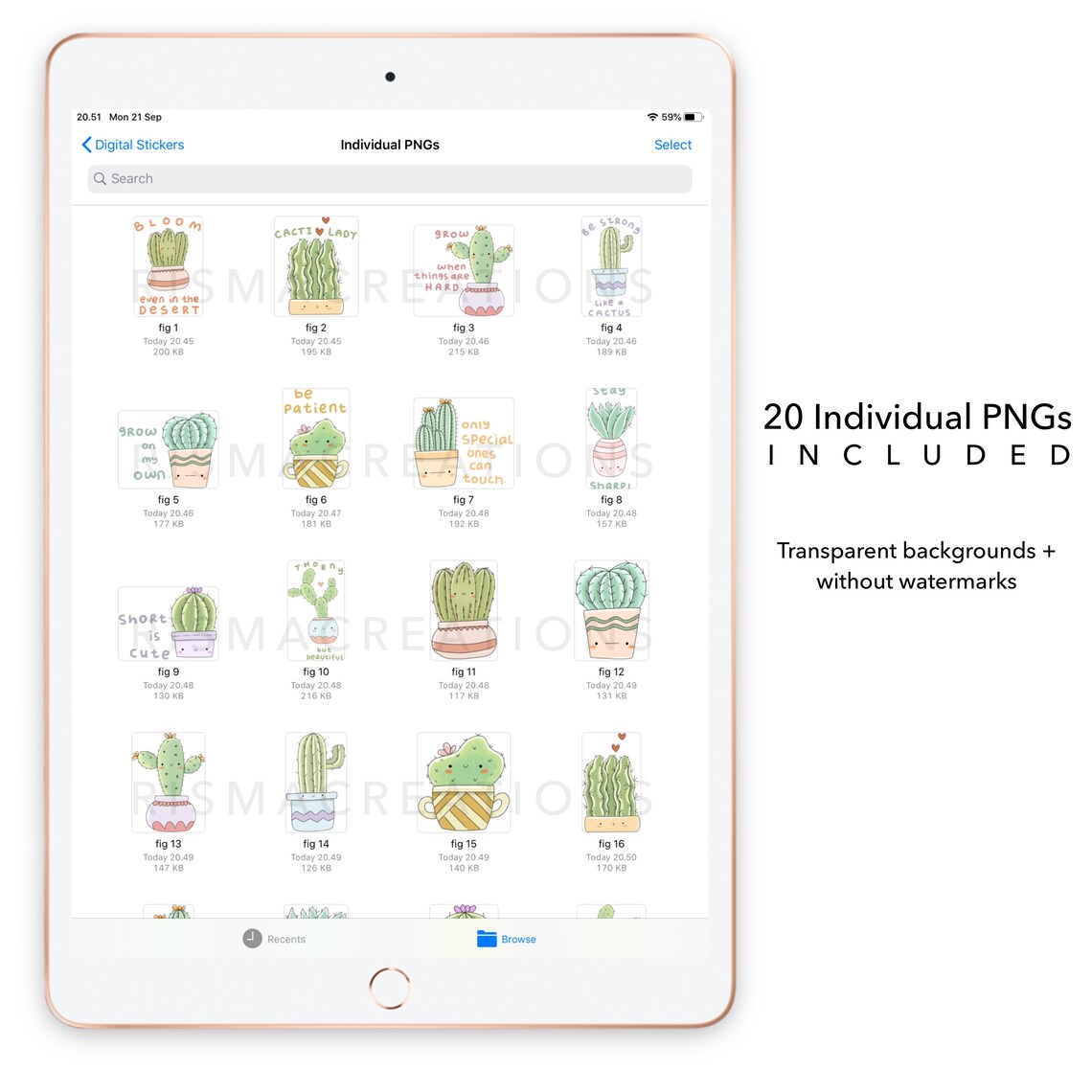 Motivational Cactus Digital Planner Stickers, Cactus Quotes Goodnotes ...