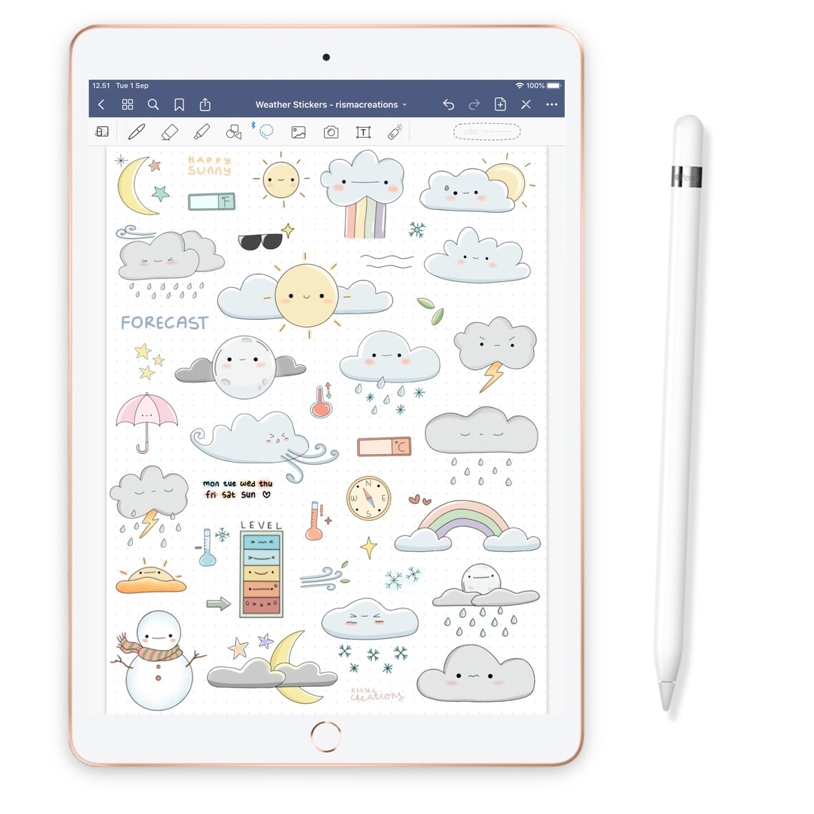 Weather Digital Stickers Weather Icons for Goodnotes Journal - Etsy