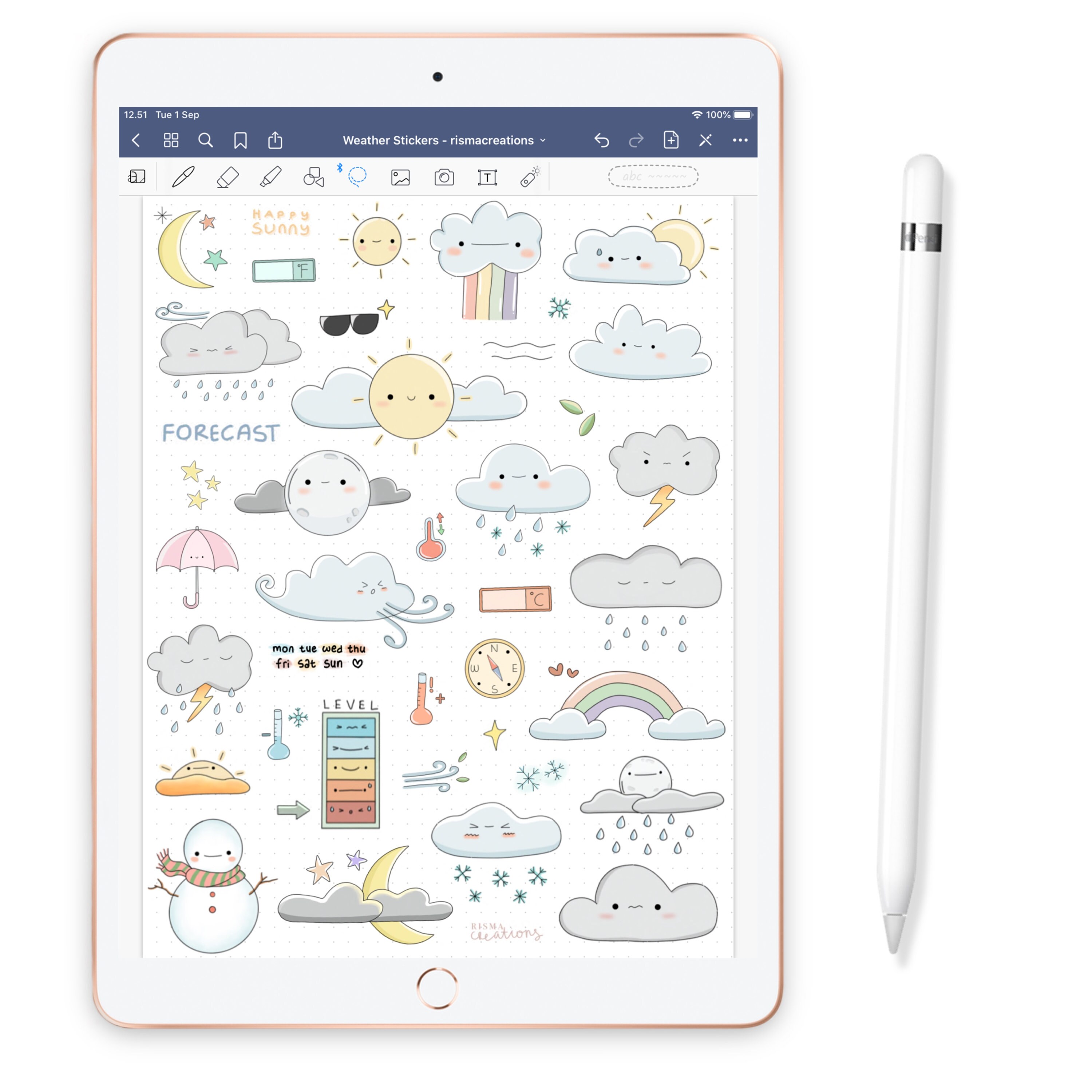 Weather Digital Stickers, Weather Icons for Goodnotes Journal Planner ...