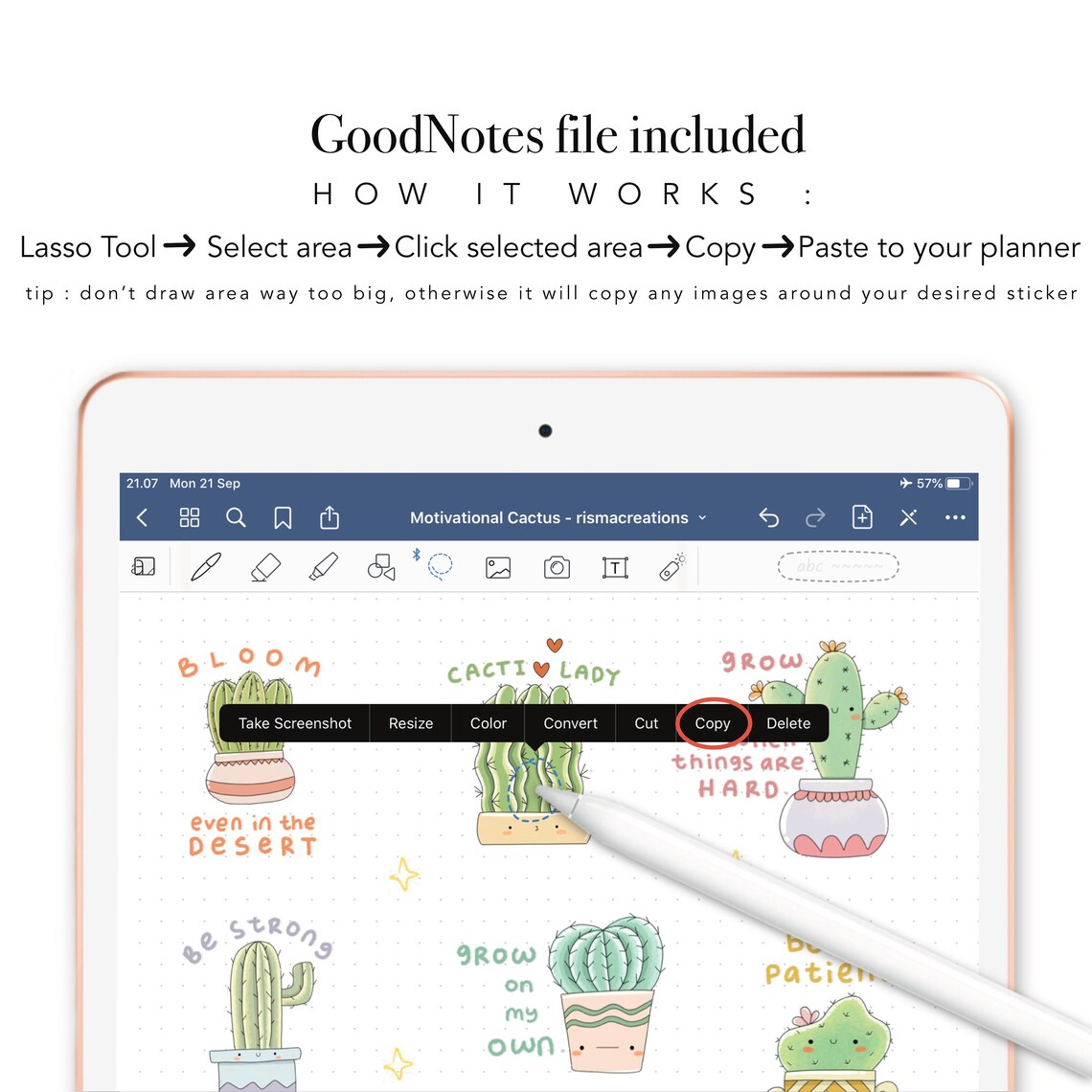 Motivational Cactus Digital Planner Stickers, Cactus Quotes Goodnotes ...