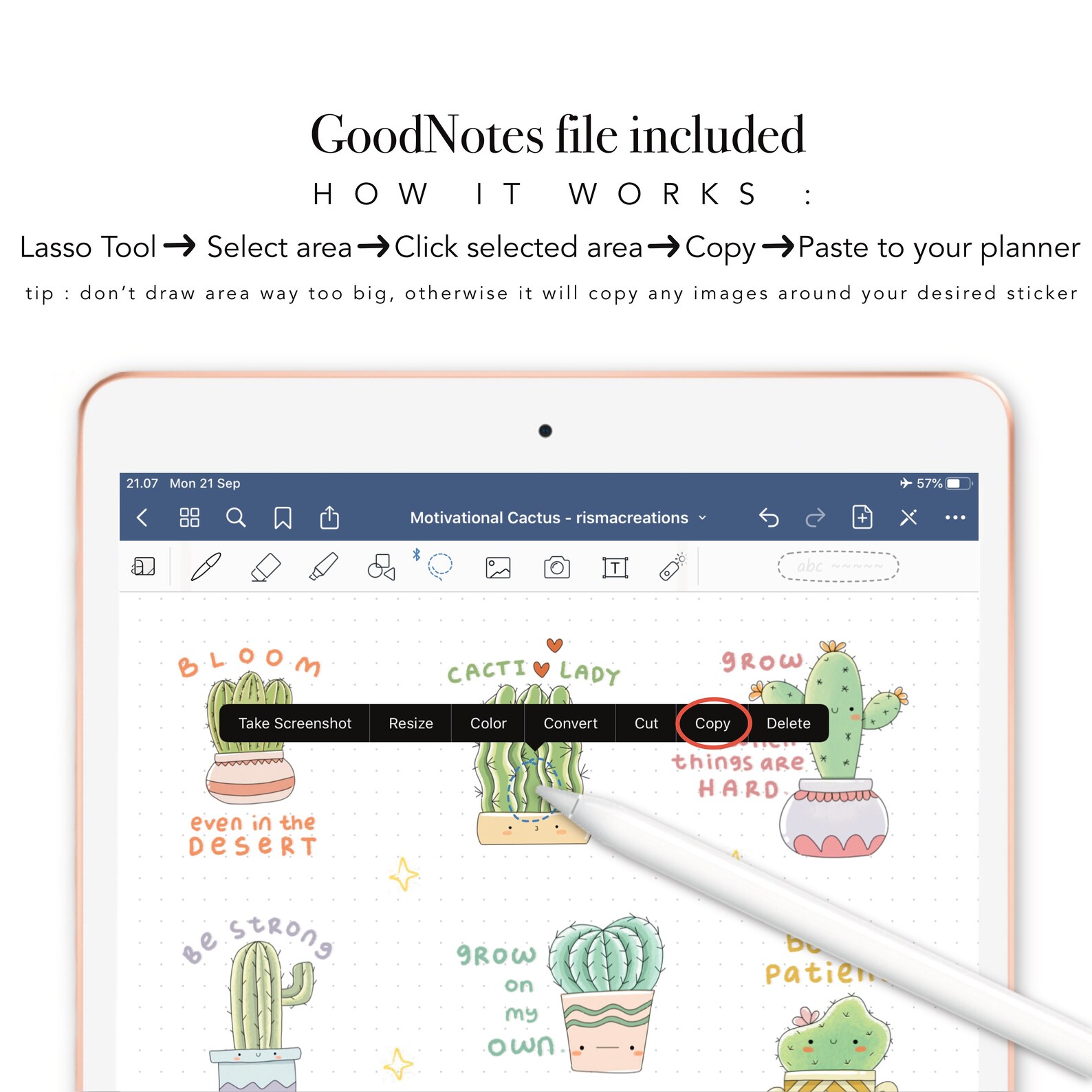 Motivational Cactus Digital Planner Stickers, Cactus Quotes Goodnotes ...