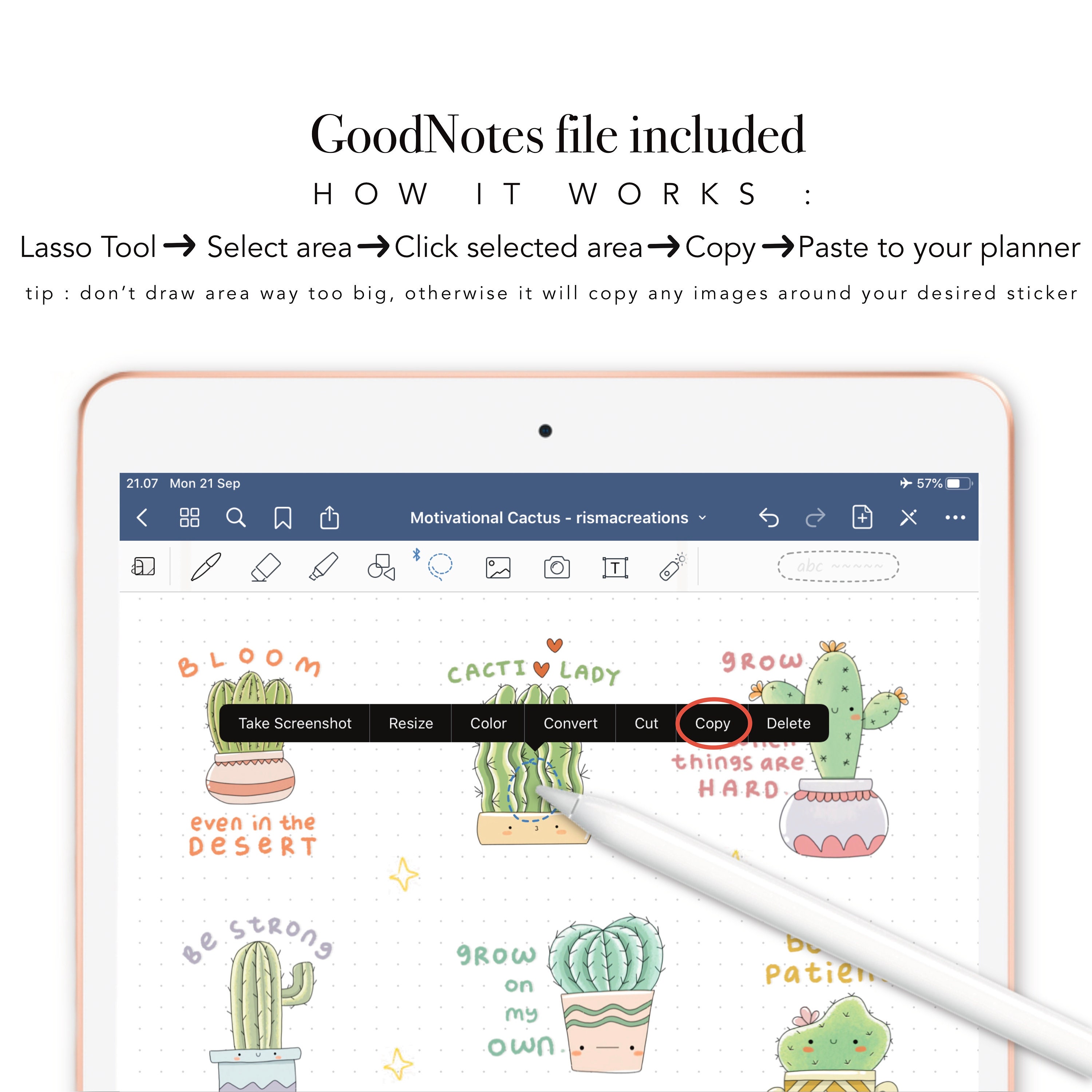 Motivational Cactus Digital Planner Stickers, Cactus Quotes Goodnotes ...