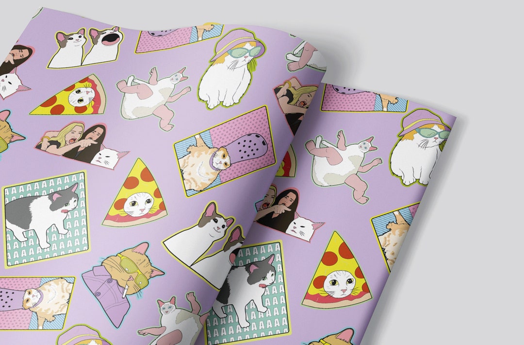 X2 Sheets Cat Meme Wrapping Paper Funny Joke Y2K Gift - Etsy