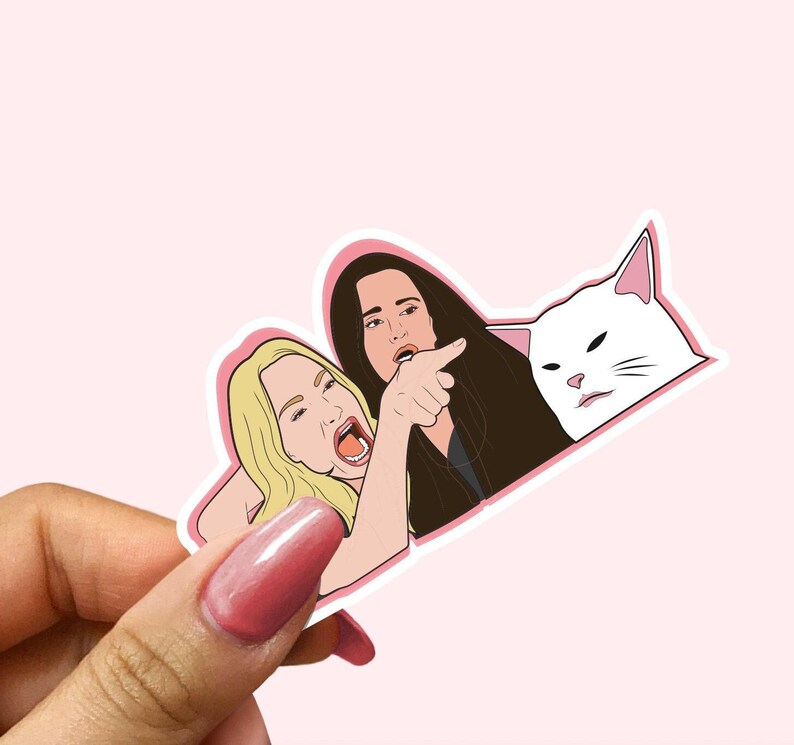 Classic Meme Vinyl Sticker - Woman Yelling at Cat - Smudge Real ...