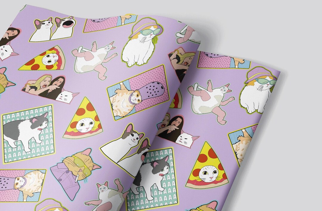 X2 Sheets Cat Meme Wrapping Paper - Funny Joke Y2K Gift Gift Wrap ...