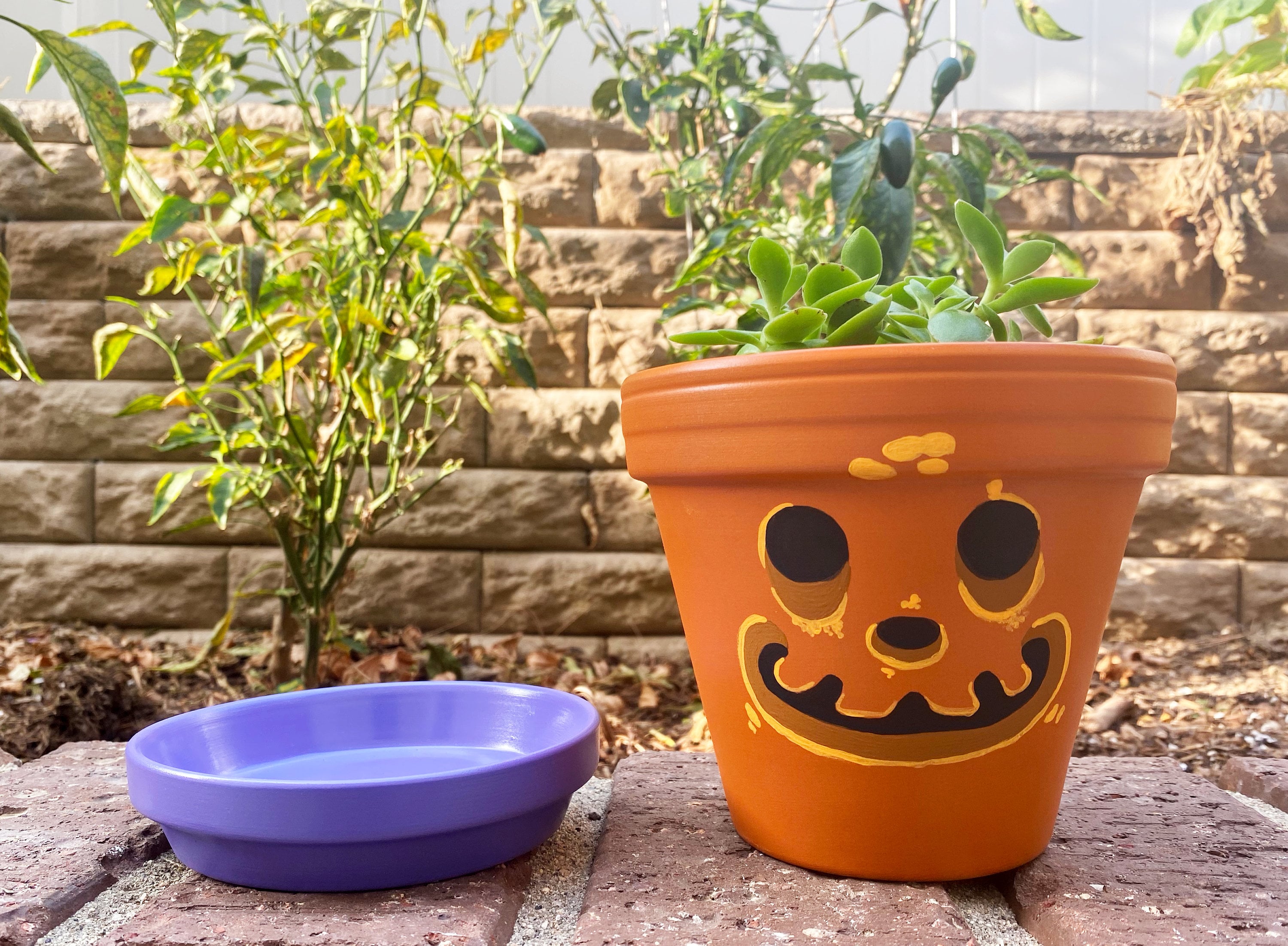 Jack Animal Crossing Handpainted Terracotta Flower Pot - Etsy