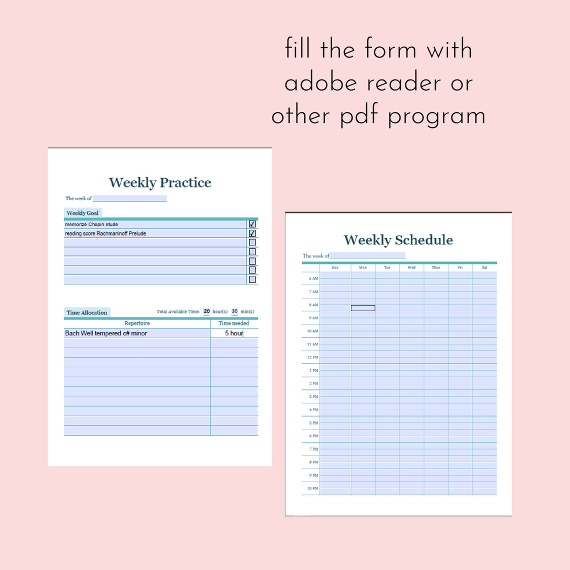Music Practice Planner Fillable Pdf/printable Checklist/practice Sheet ...