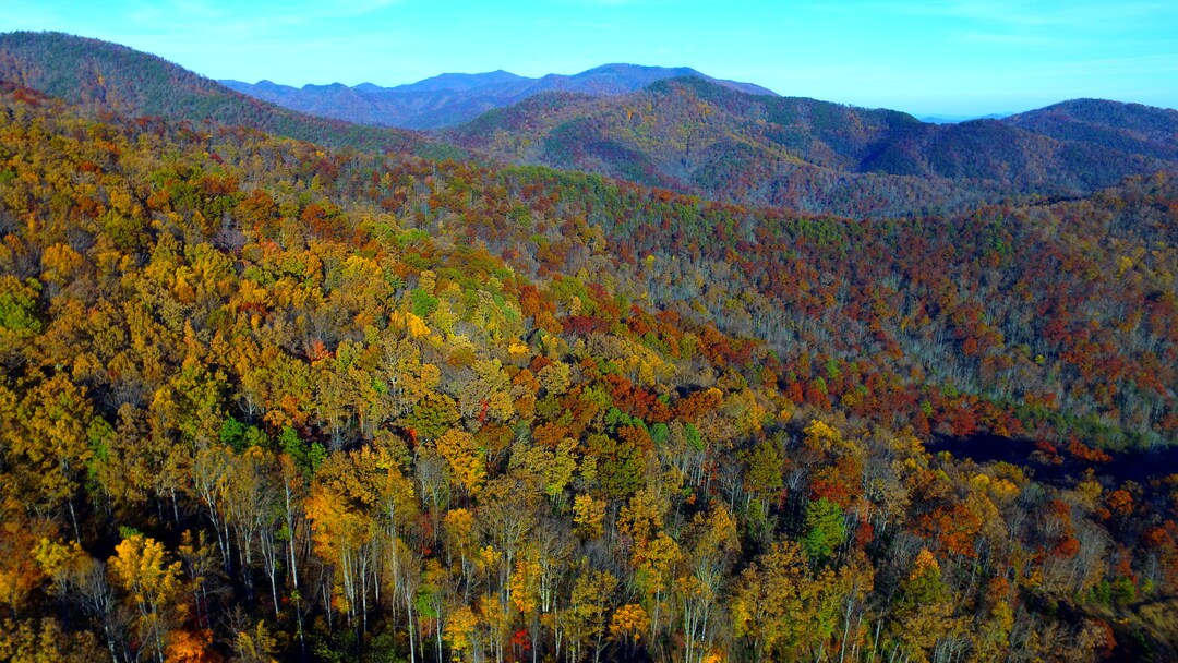 Fall Ridge Trees Digital Download Drone Picture Scenery Scenic - Etsy