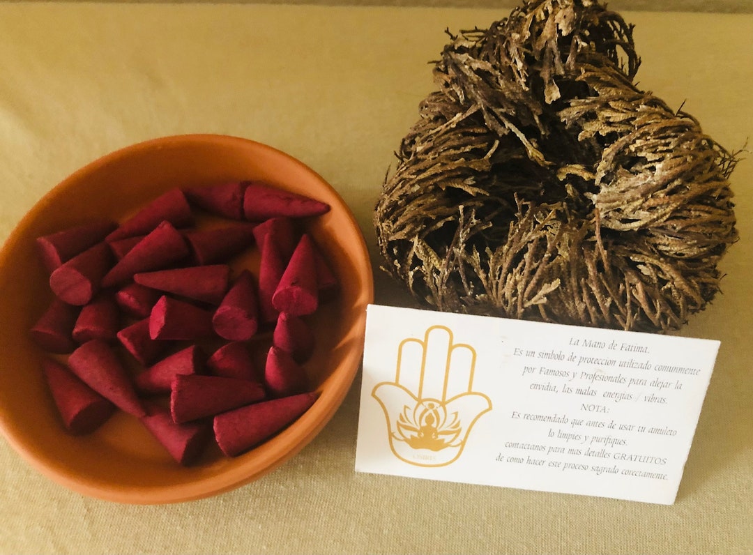 The Jericho Flower, Also Known as the “flower of Life,” is a Symbol of ...